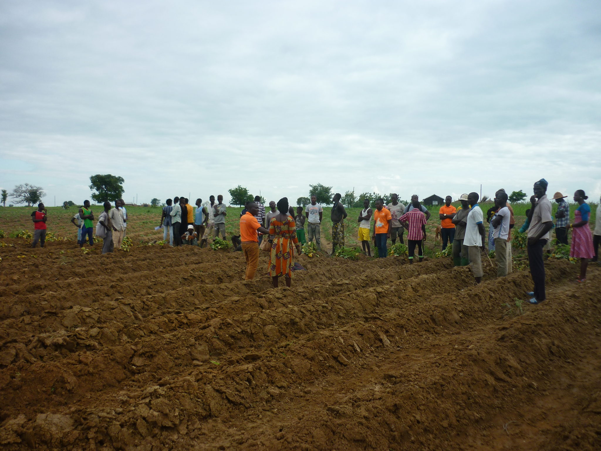 About Us: It’s about our NGO – Reputed Agriculture 4 Development Foundation